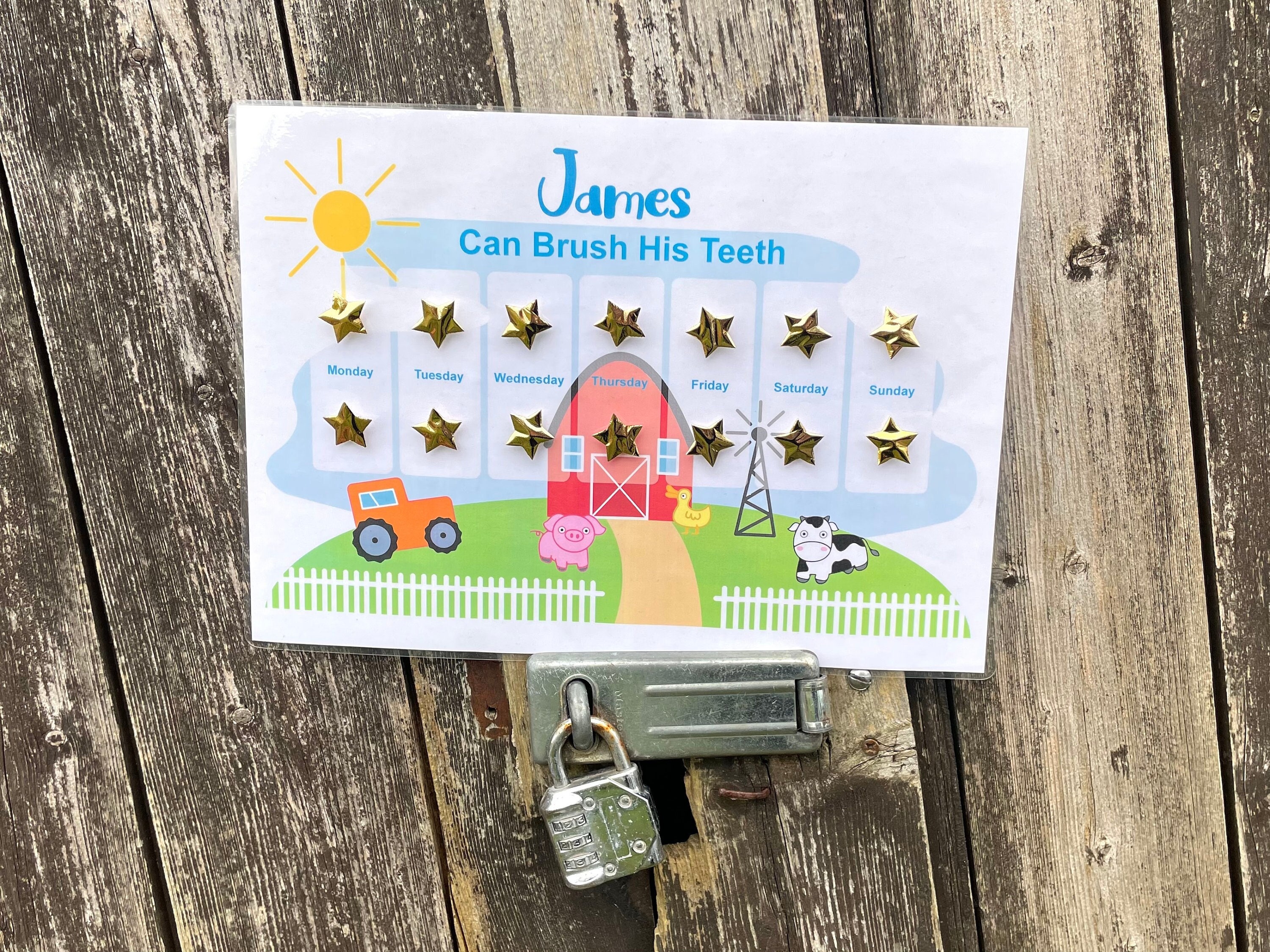 Tooth Brushing Reward Chart Farm Design A4 Re-usable Teeth - Etsy