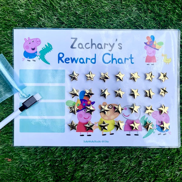 Velcro Behavior Chart - Etsy