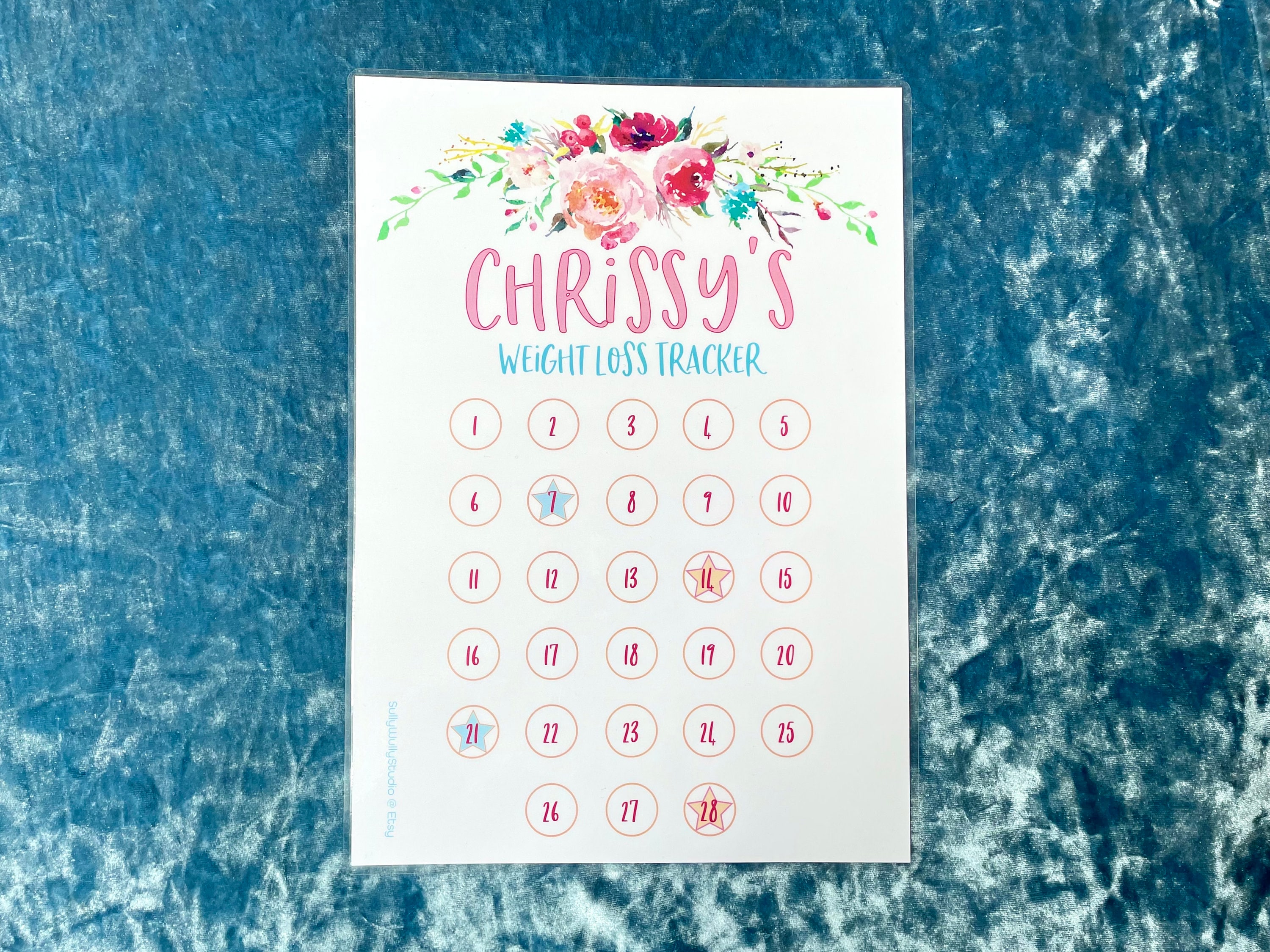 Personalised Weight Loss Chart A4 With Stickers Slimming World Weight ...