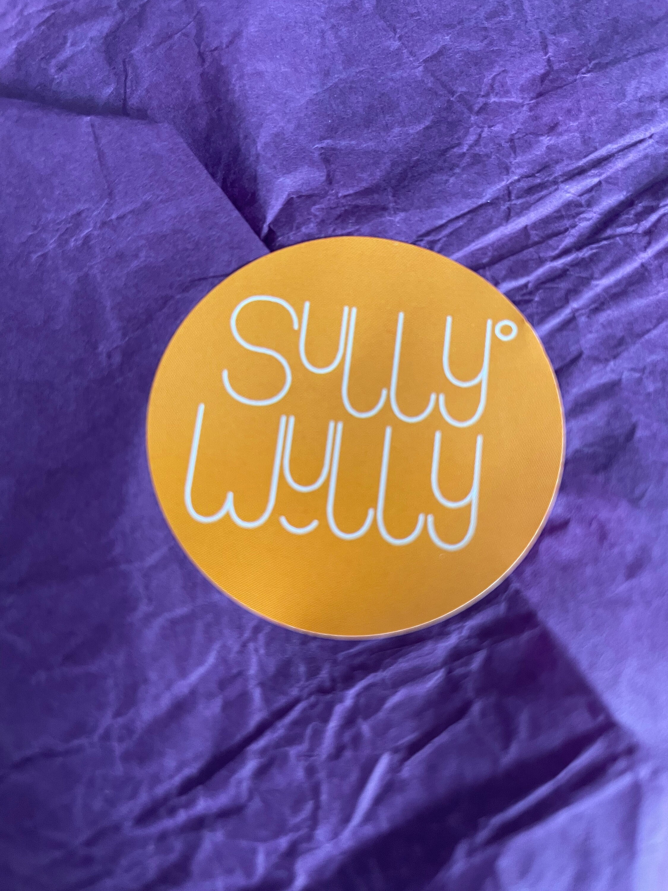 Thomas the Tank Engine & Friends Potty Training Chart With Velcro Star ...