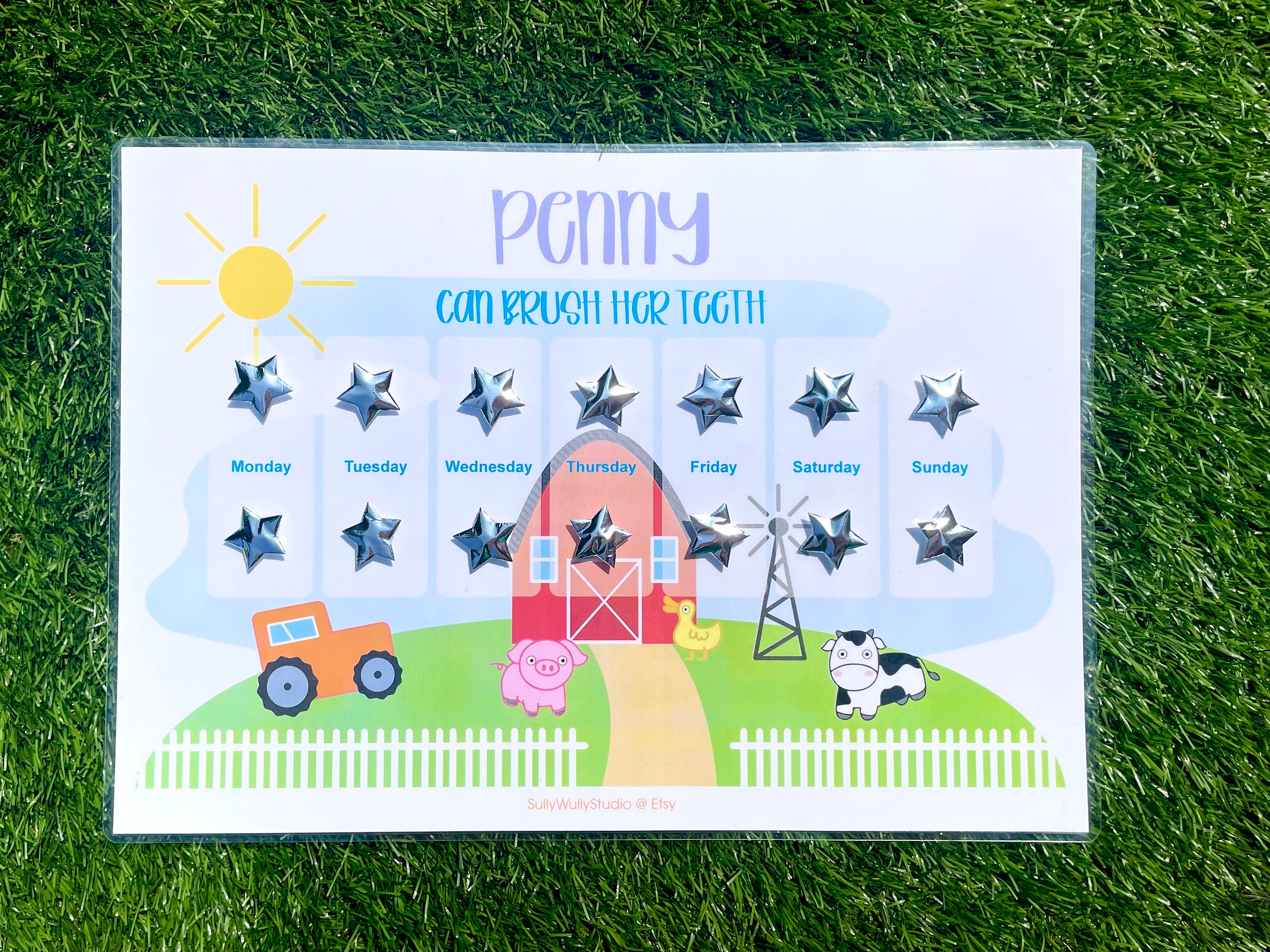 Tooth Brushing Reward Chart Farm Design A4 Re-usable Teeth - Etsy