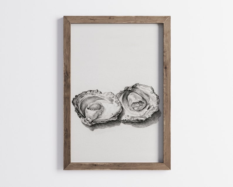 Two Opened Oyster Prints Vintage Sketch Rustic Kitchen Art Farmhouse ...
