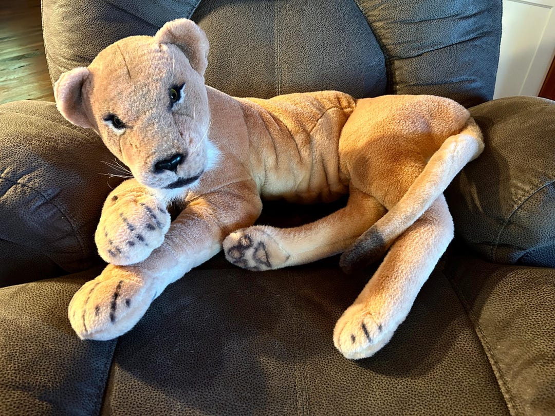Jumbo Realistic Lioness Plush by Kellytoy - Etsy