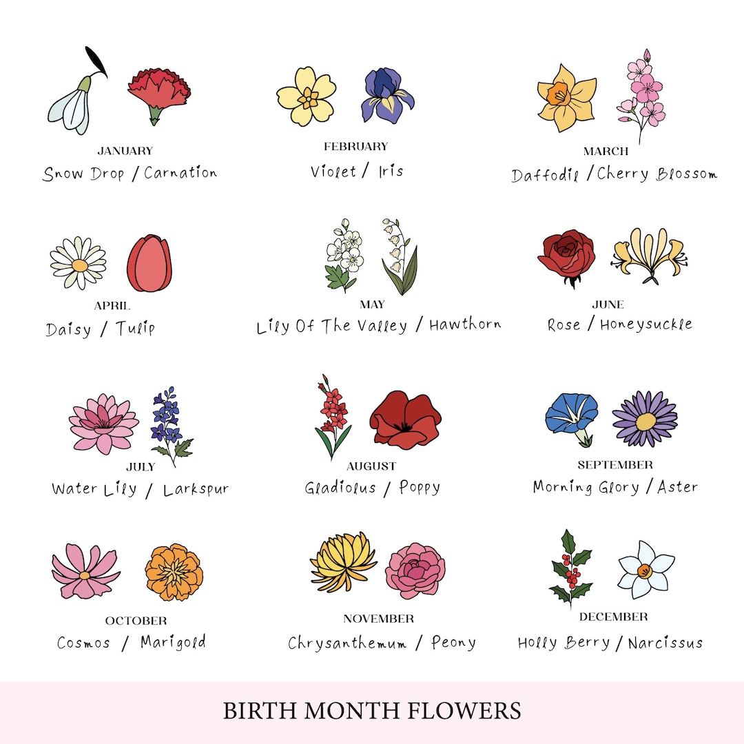 Colored Birth Month Flowers / Family Birth Flower Bouquet / 3 Birth ...