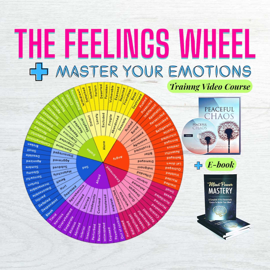 FEELINGS WHEEL + Emotional Regulation Therapy - Etsy