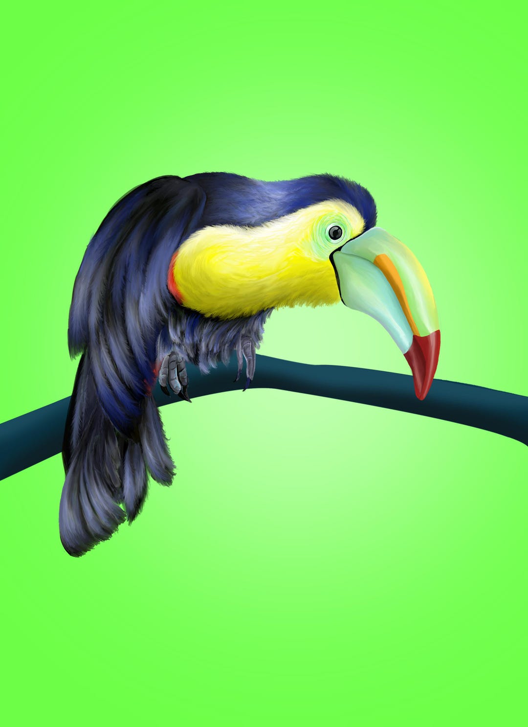 Toucan Digital Illustration, Modern Art and Vibrant Colors - Etsy