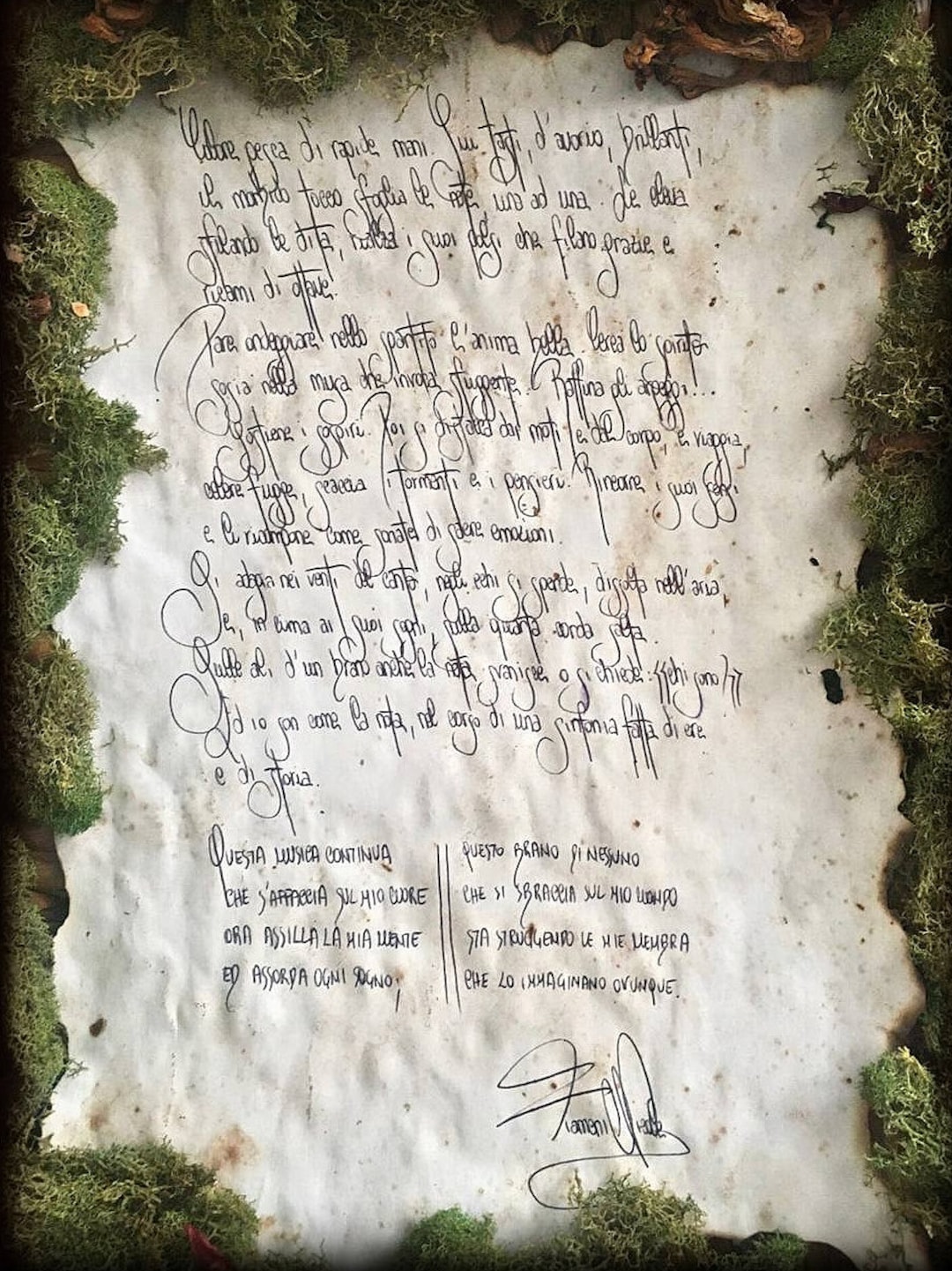 Pergamene Gotiche E Antiche Scritte a Mano Con Calligrafia Elegante ...