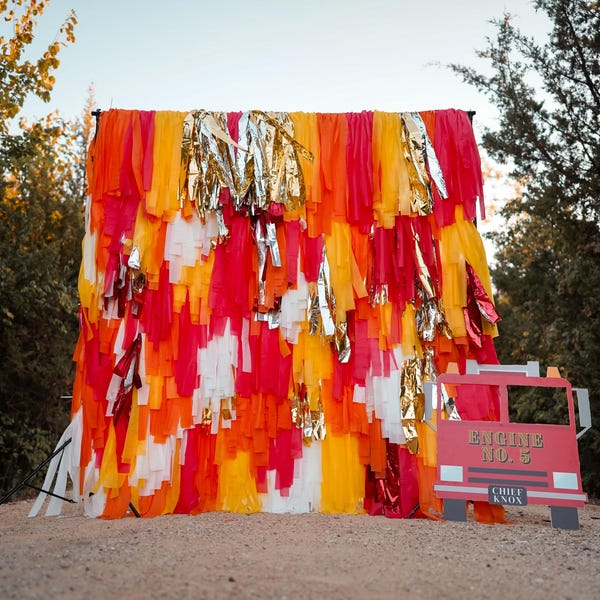 Fringe Backdrop - Etsy