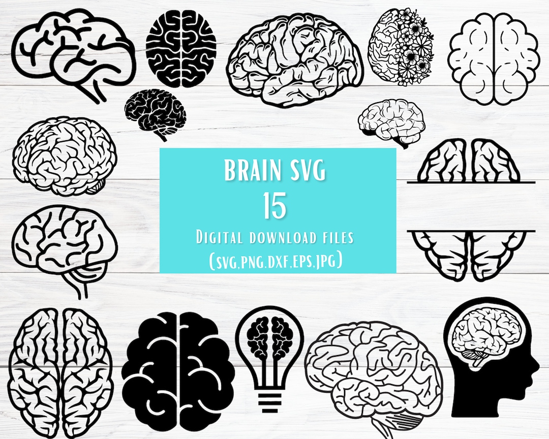 Brain Svg, Brain Png, Brain Svg Bundle, Brain Clipart, Floral Brain Svg ...