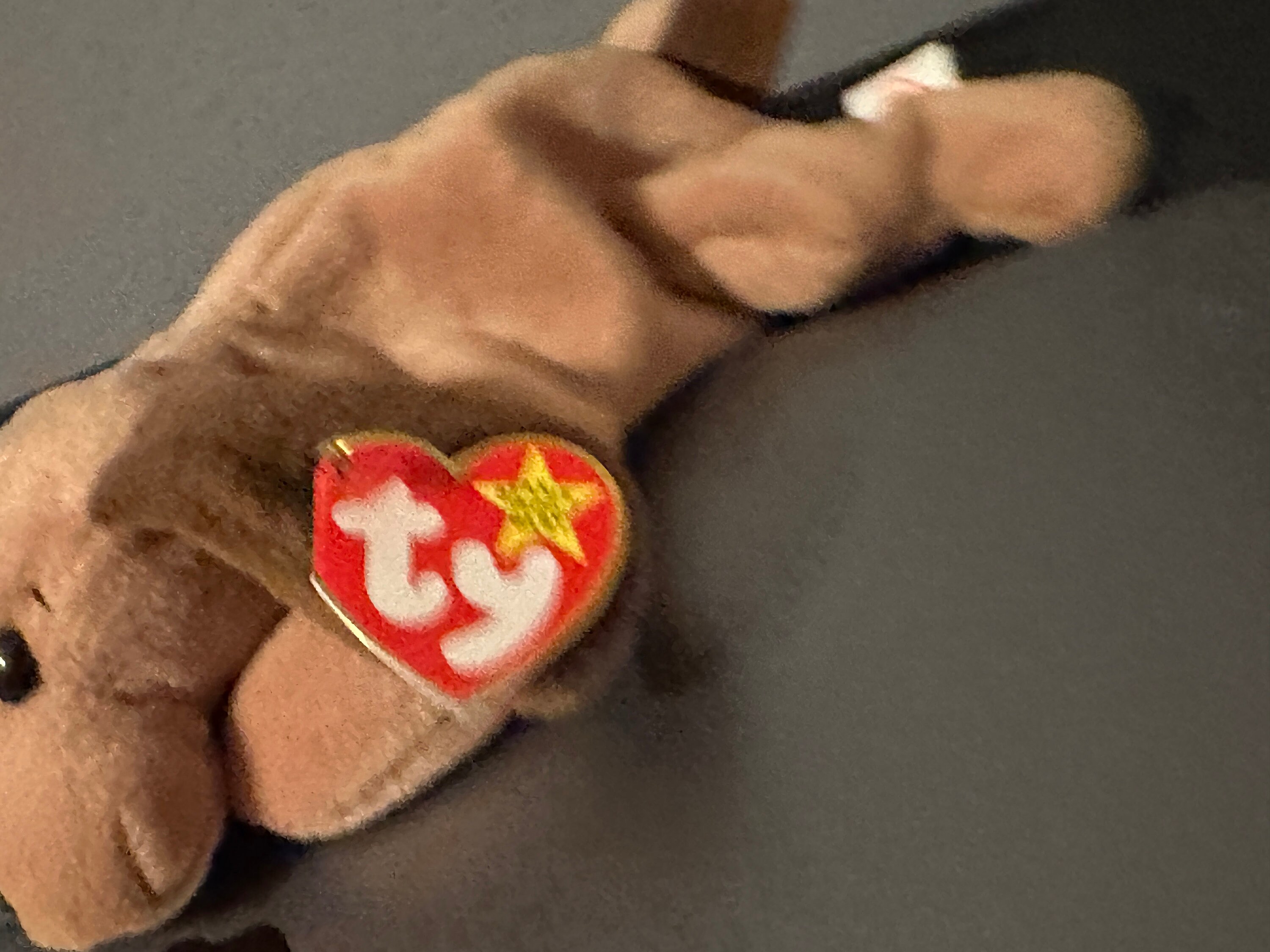 Ty Beanie Babies - Bones - With Errors - Etsy