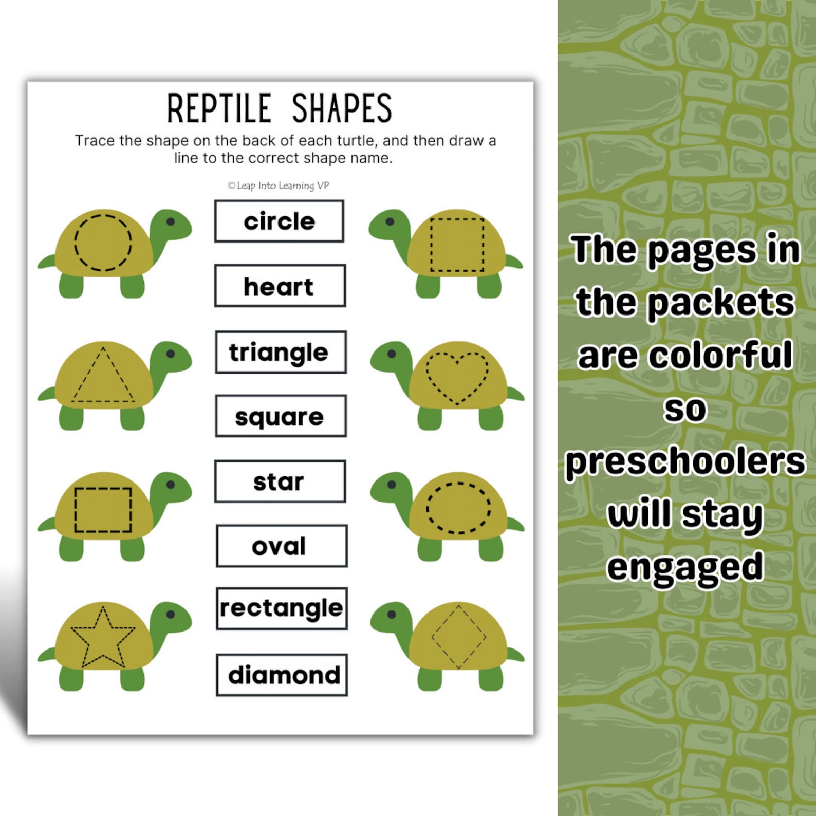 Preschool Reptile Educational Worksheets Printable Preschool Activity ...