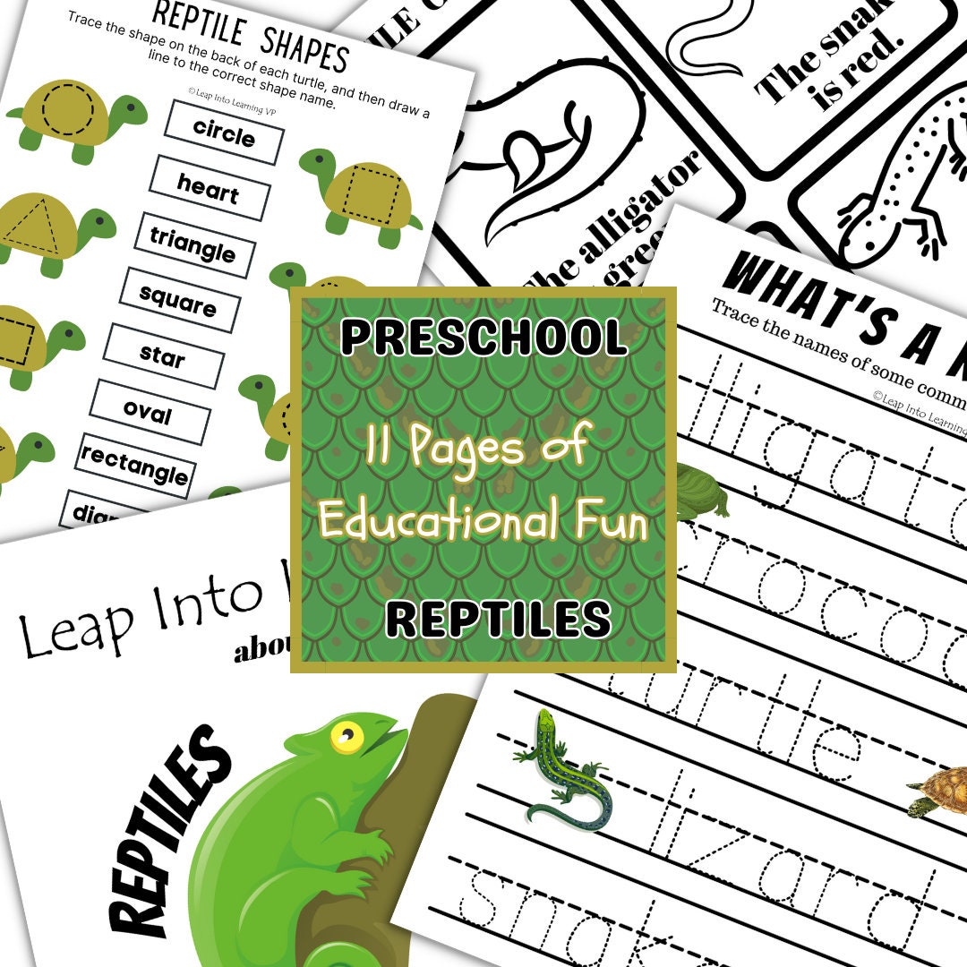 Preschool Reptile Educational Worksheets Printable Preschool Activity ...