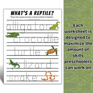 Preschool Reptile Educational Worksheets Printable Preschool Activity ...