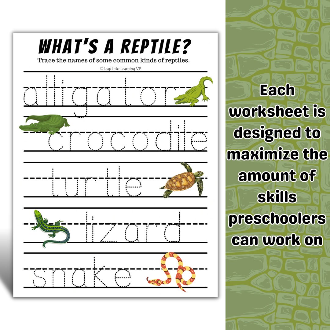 Preschool Reptile Educational Worksheets Printable Preschool Activity ...