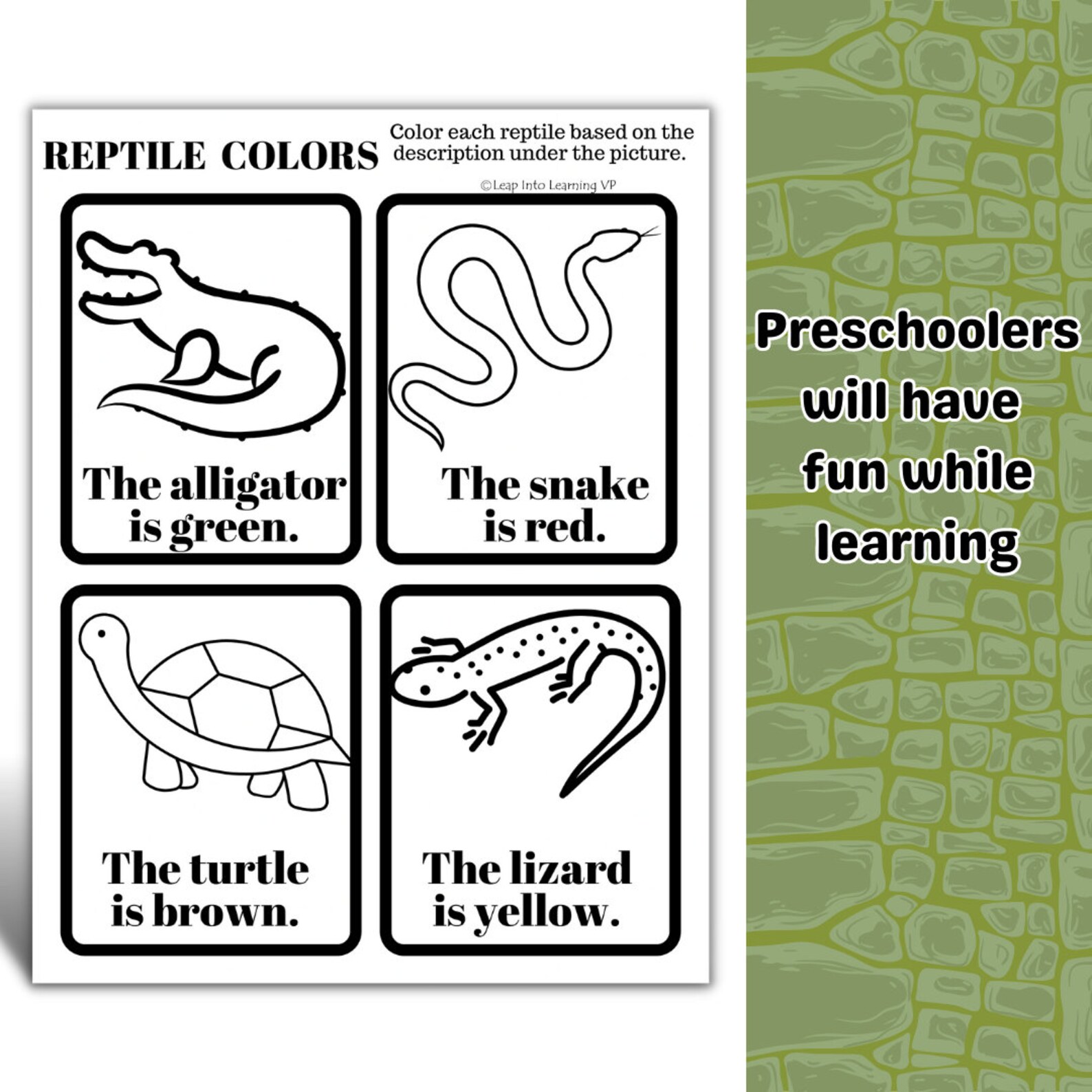 Preschool Reptile Educational Worksheets Printable Preschool Activity ...