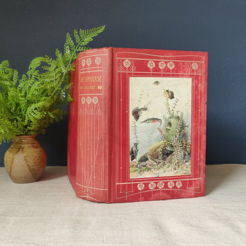 Natural Science - Etsy