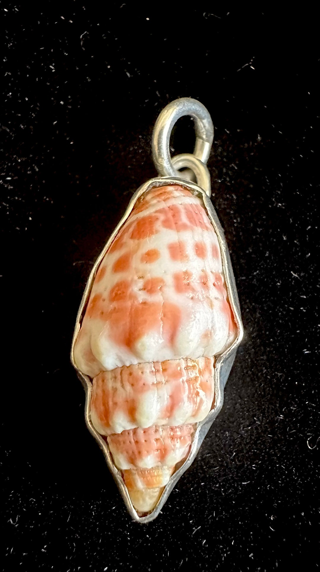 Sterling Silver Bezeled Hawaiian Miter Shell Pendant - Etsy