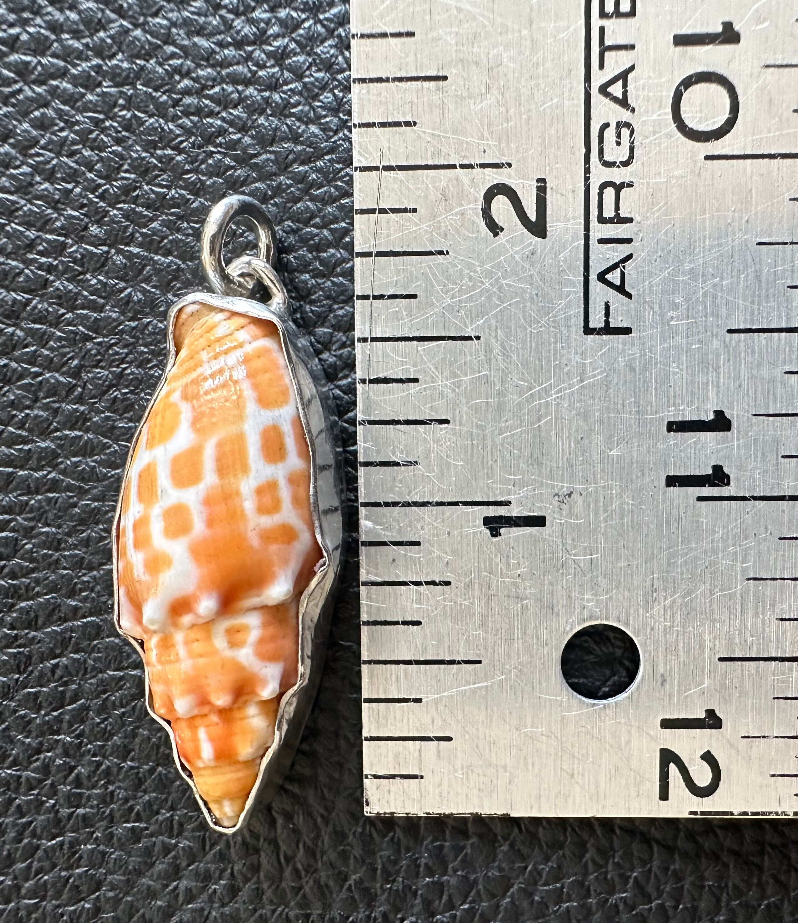 Beautiful Orange Miter Shell Hand Bezeled Sterling Silver Pendant - Etsy
