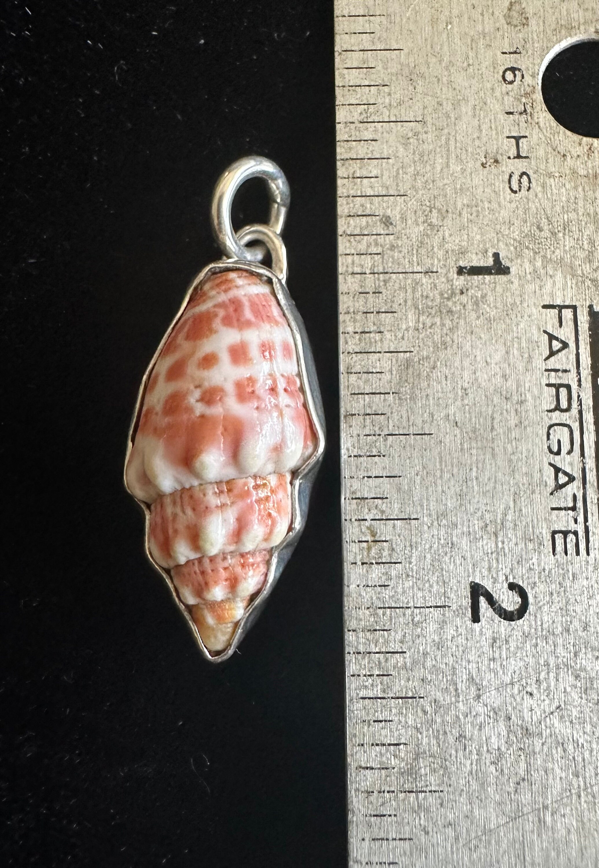 Sterling Silver Bezeled Hawaiian Miter Shell Pendant - Etsy