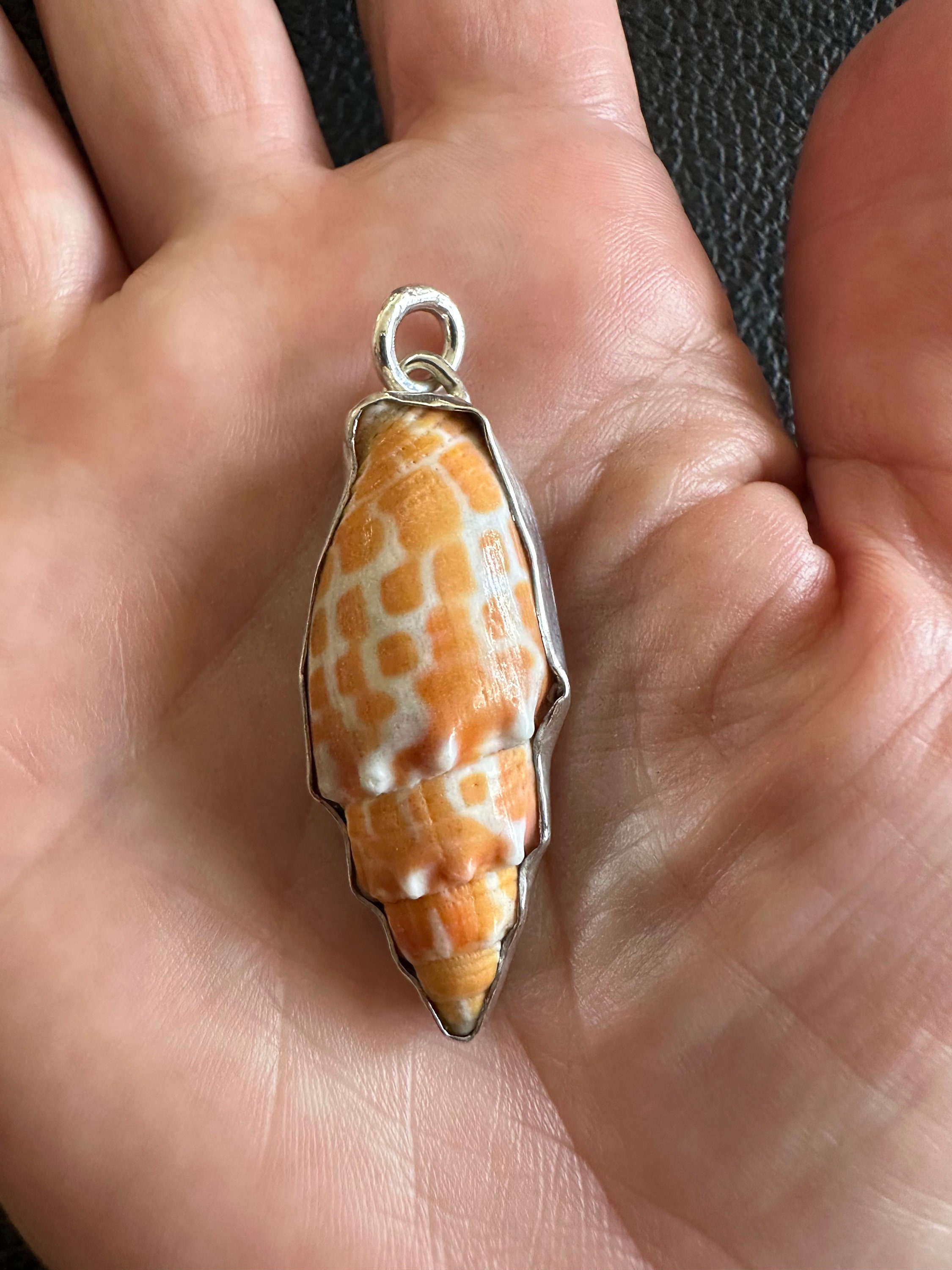 Beautiful Orange Miter Shell Hand Bezeled Sterling Silver Pendant - Etsy
