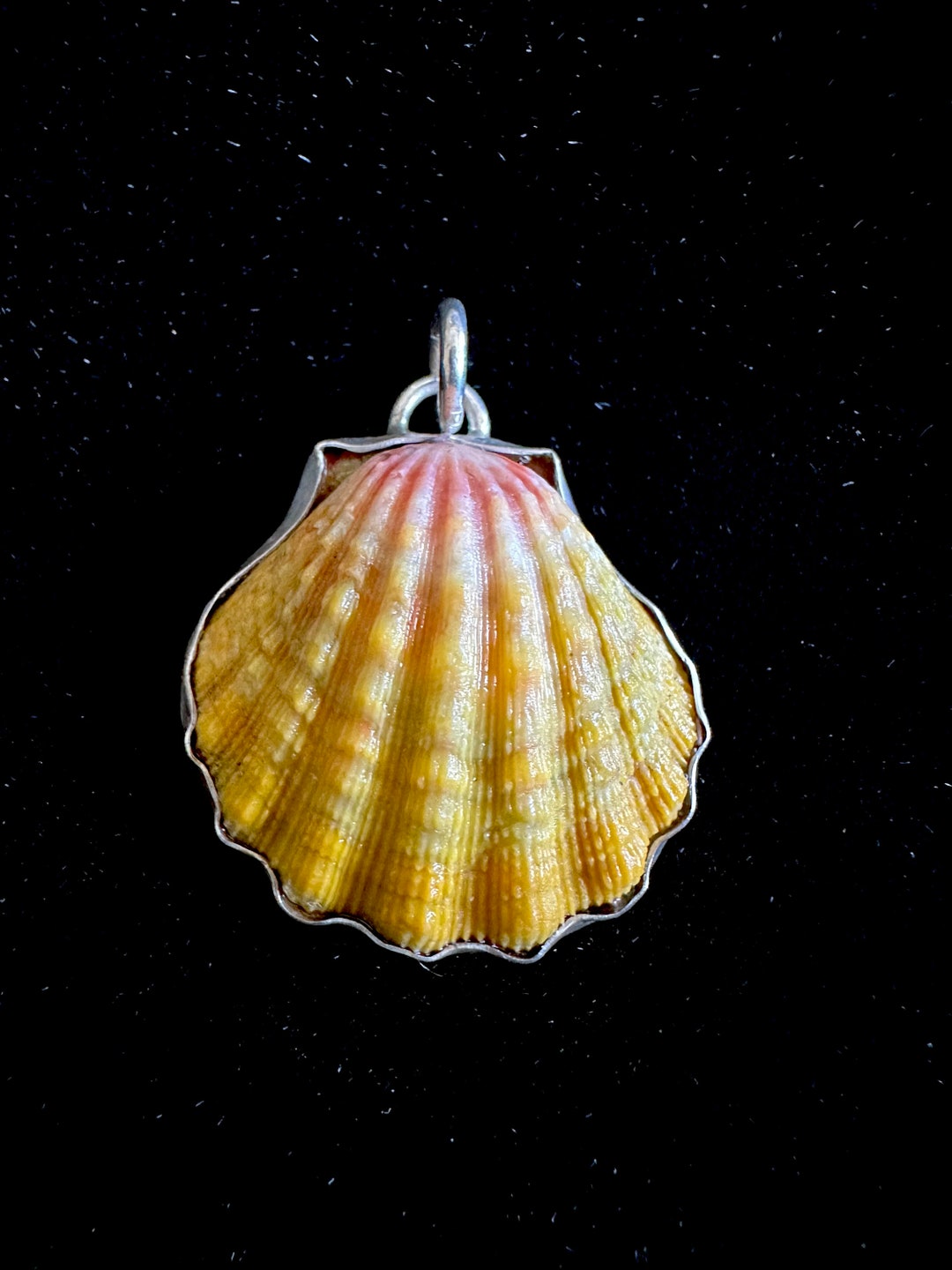 Sterling Silver Bezeled Hawaiian Sunrise Shell Pendant Necklace - Etsy
