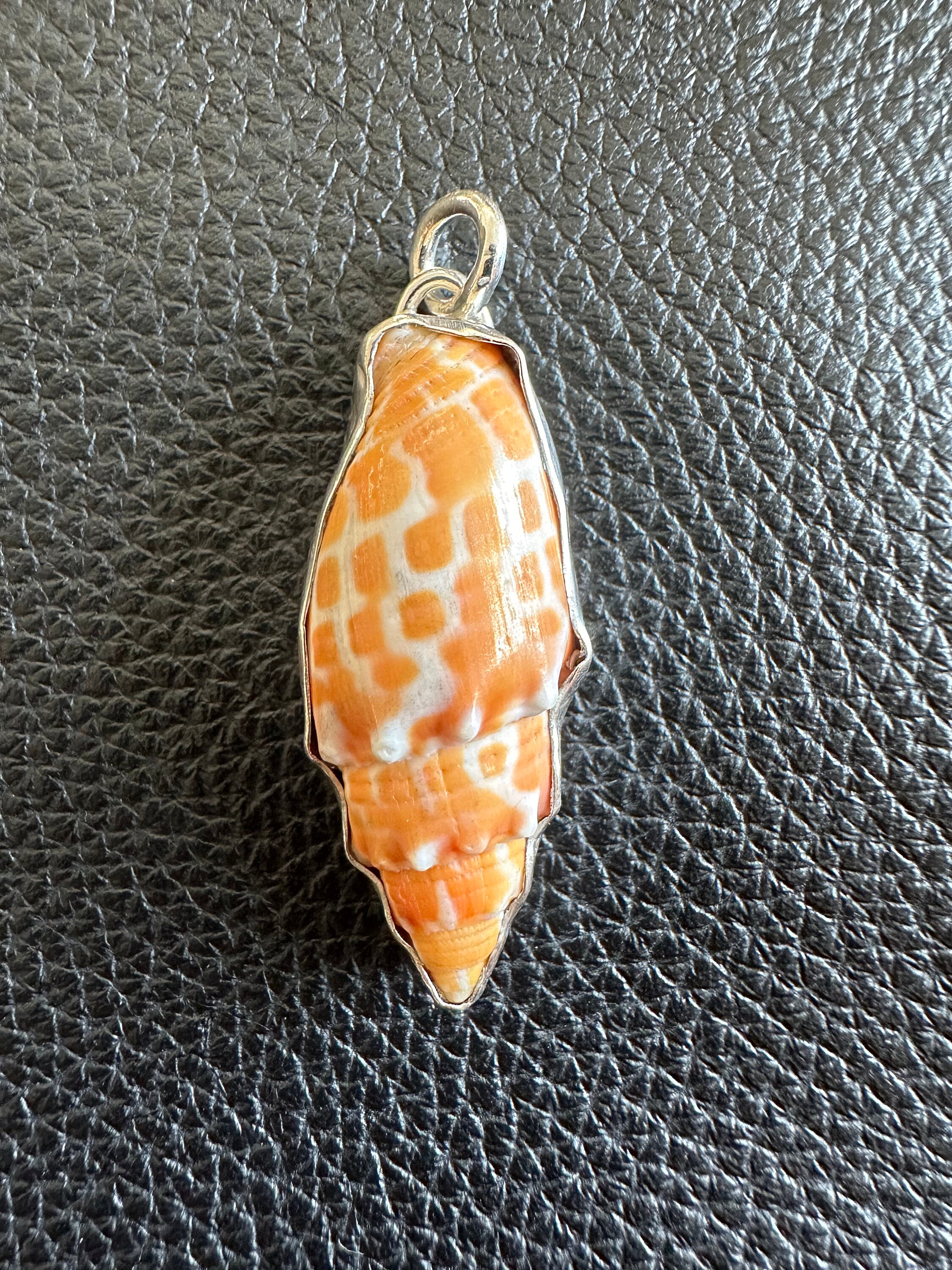 Beautiful Orange Miter Shell Hand Bezeled Sterling Silver Pendant - Etsy