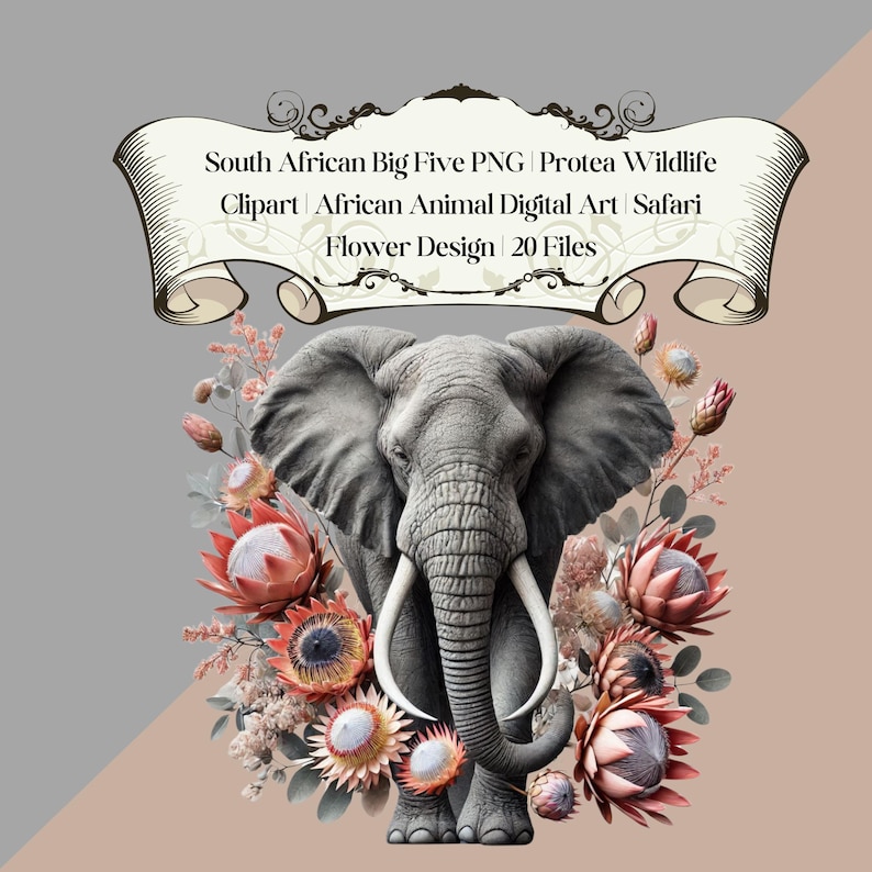 South African Big Five PNG Protea Wildlife Clipart African Animal ...