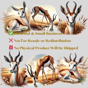 Watercolor Springbok Clipart: South African Wildlife Pngs (digital ...