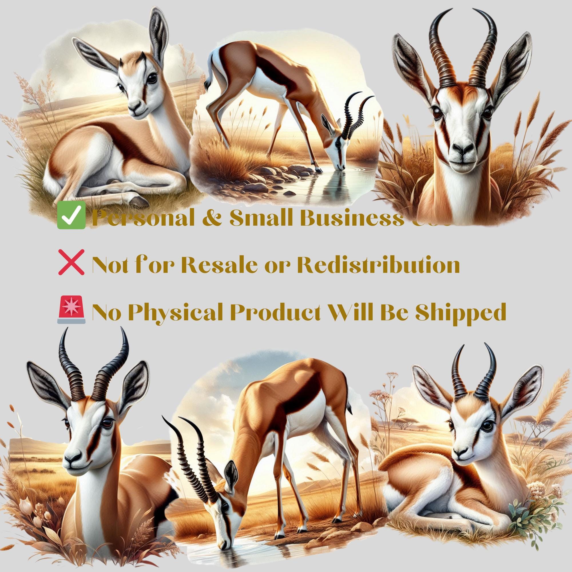 15 Springbok PNG Clipart | Watercolor South African Wildlife | Safari ...