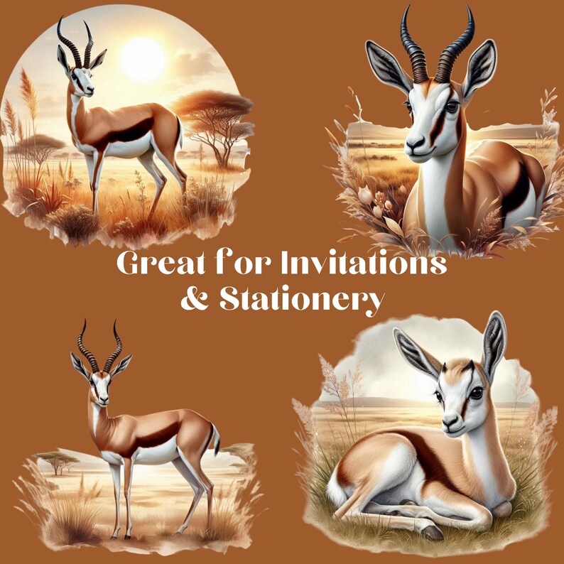 15 Springbok PNG Clipart | Watercolor South African Wildlife | Safari ...