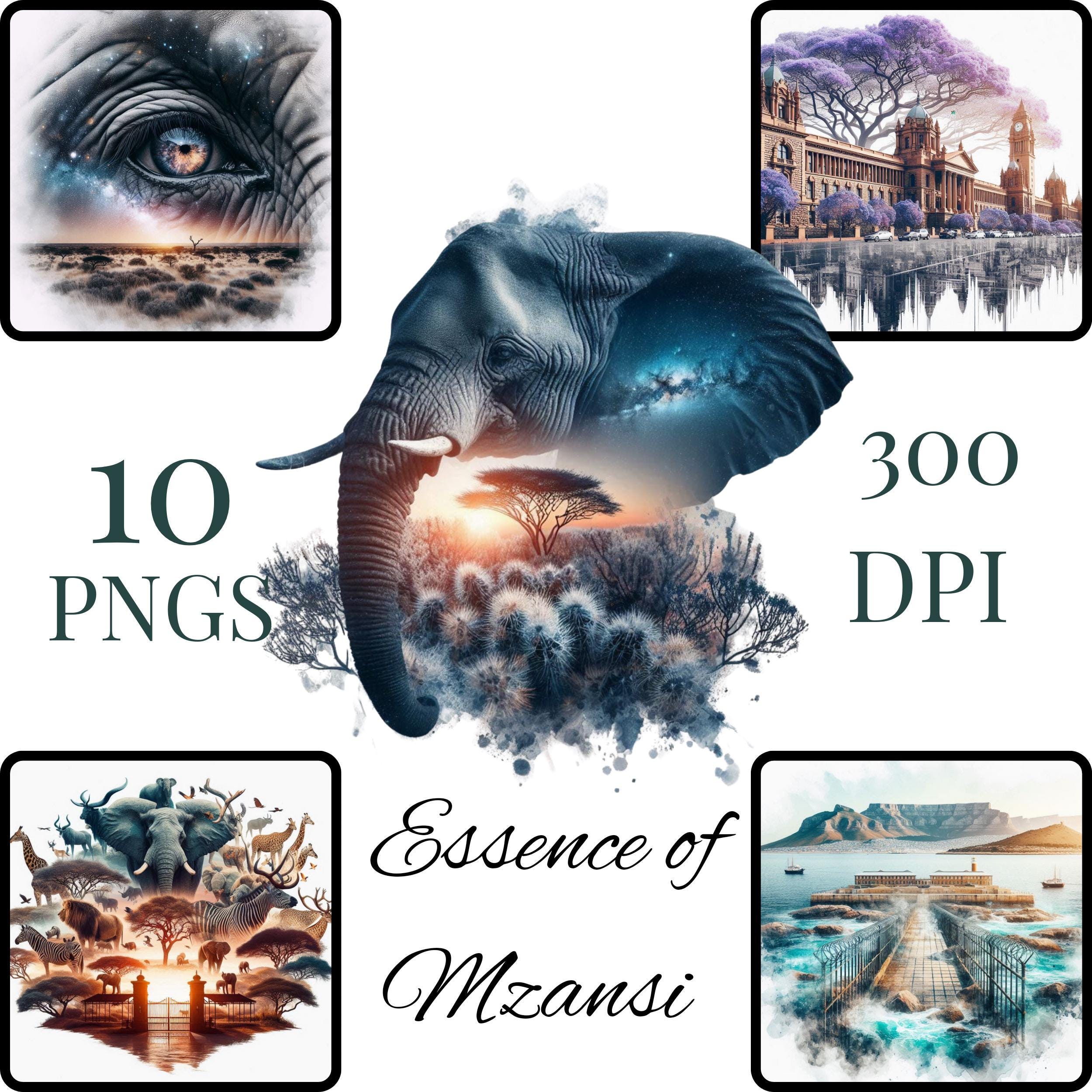 South African Double Exposure PNG Lion Mountain Art Mandela Silhouette ...