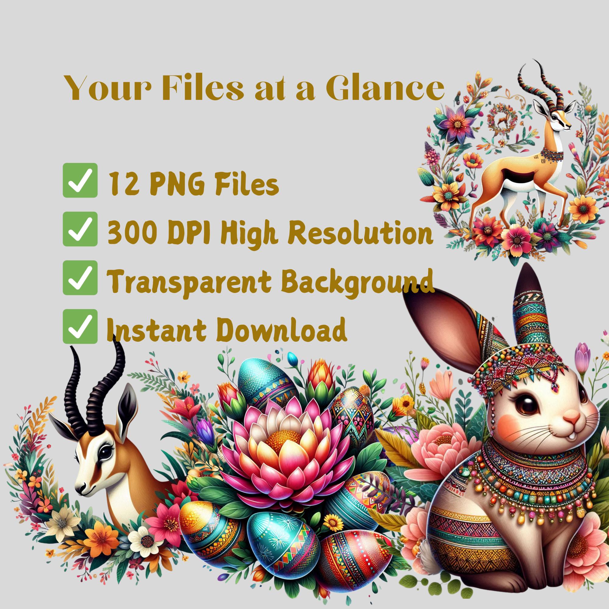South African Easter Clipart Bundle: Meerkat, Springbok, Bunny (PNG) - Etsy