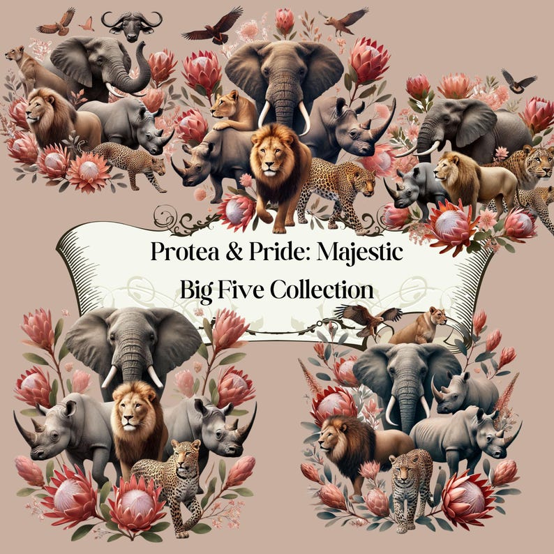 South African Big Five PNG Protea Wildlife Clipart African Animal ...