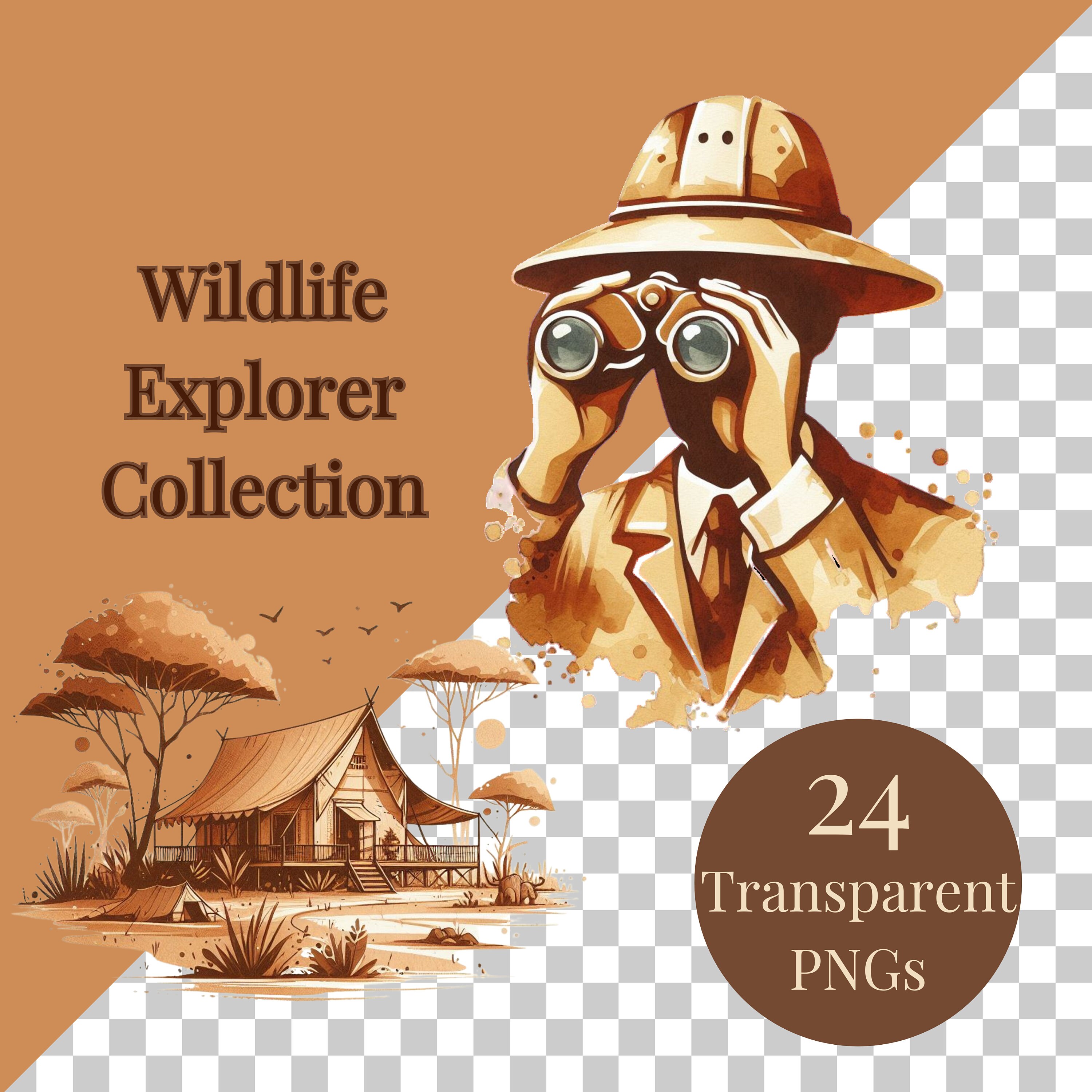 Wildlife Clipart Collection Explorer - 24 High-resolution Pngs Safari ...