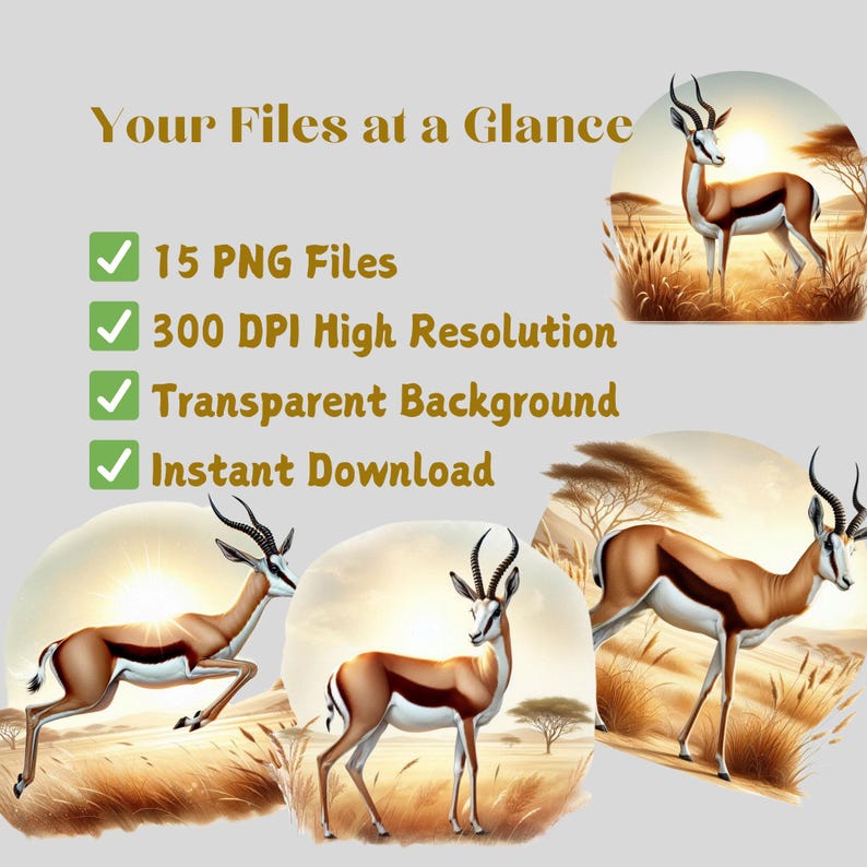 15 Springbok PNG Clipart | Watercolor South African Wildlife | Safari ...