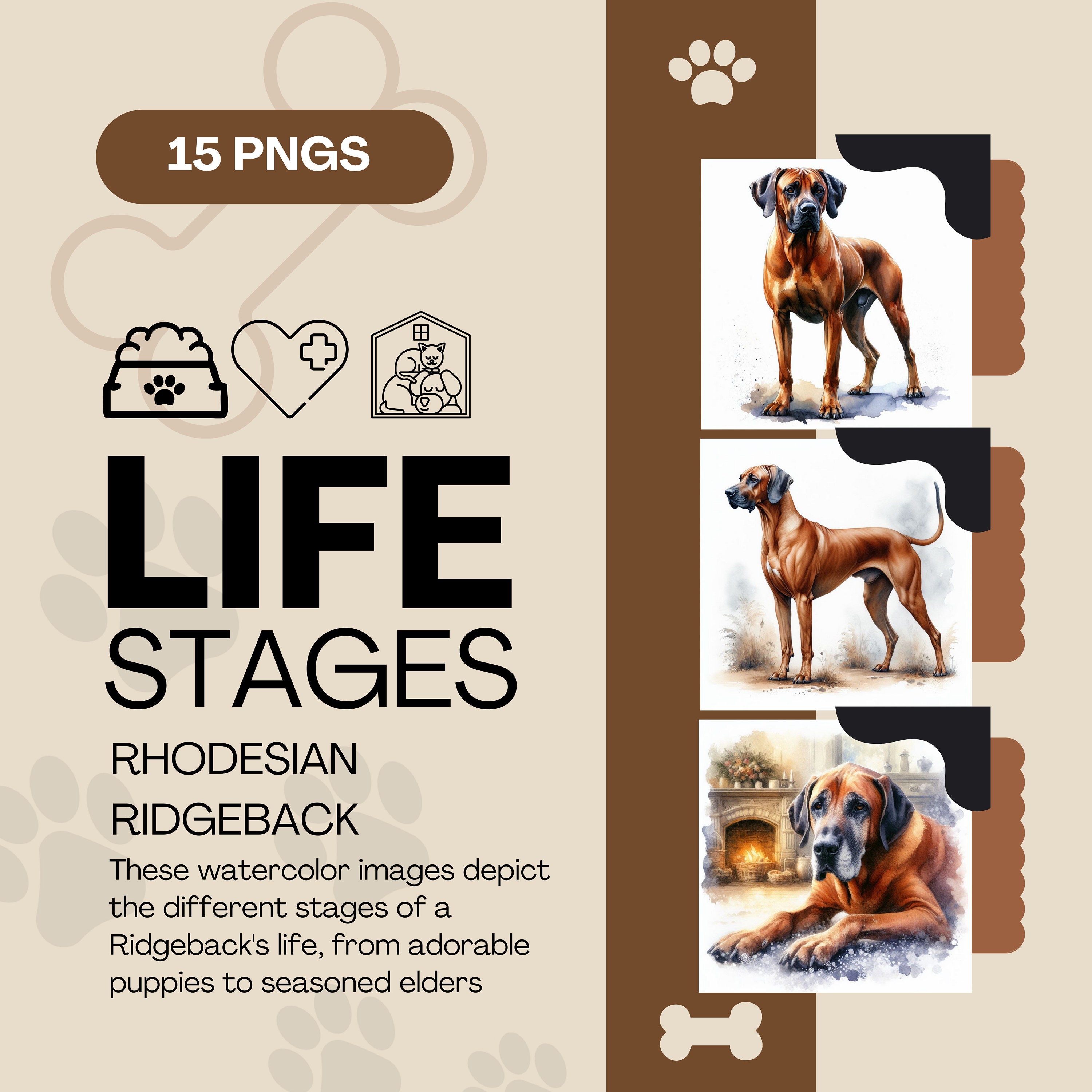 Watercolor Rhodesian Ridgeback Clipart Bundle Life Stages Collection ...