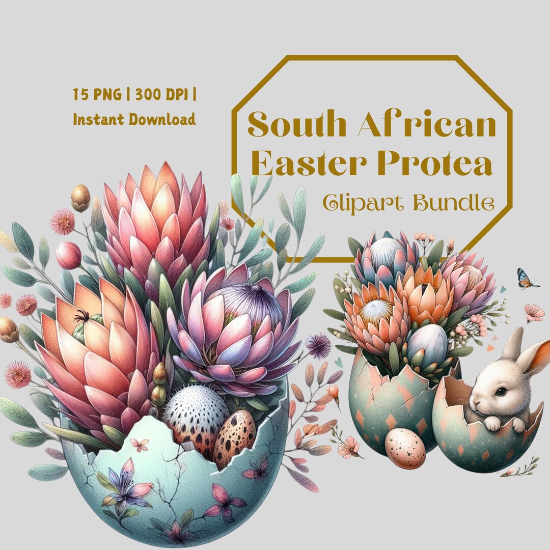 South African Easter Clipart: Protea Floral PNG Bundle (digital ...
