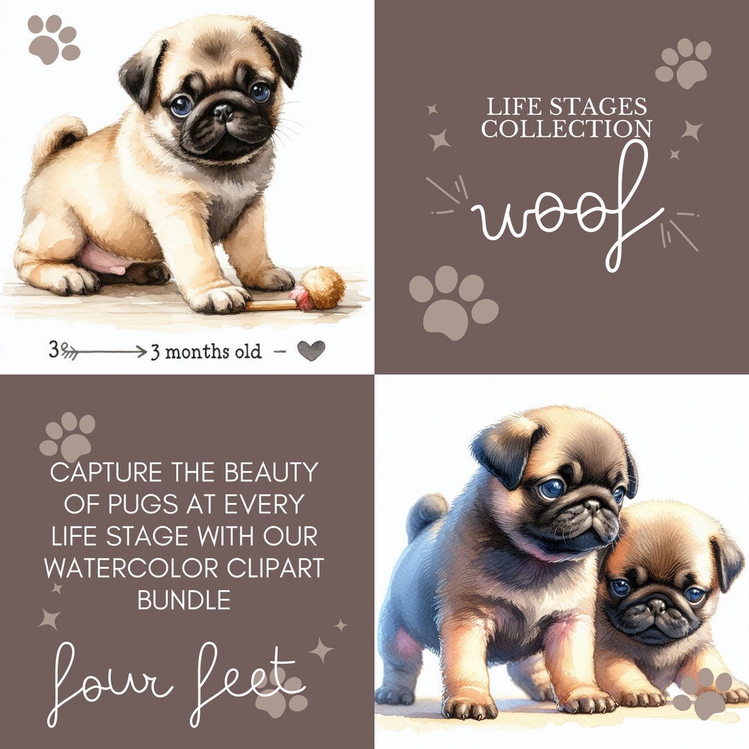 Pug Life Stages Watercolor Clipart Bundle - 24 Digital Downloads ...