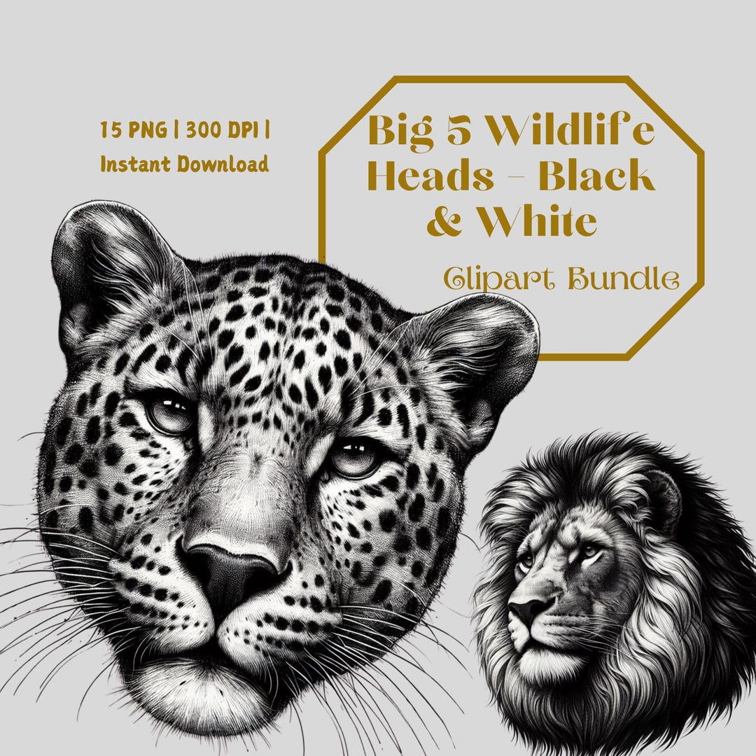 Big 5 Animal Heads Clipart: Black & White Wildlife Pngs (digital ...