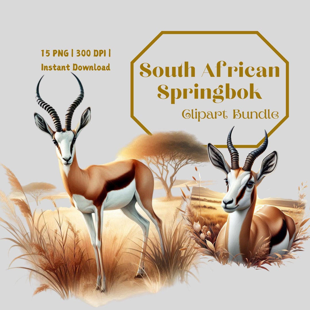 15 Springbok PNG Clipart | Watercolor South African Wildlife | Safari ...