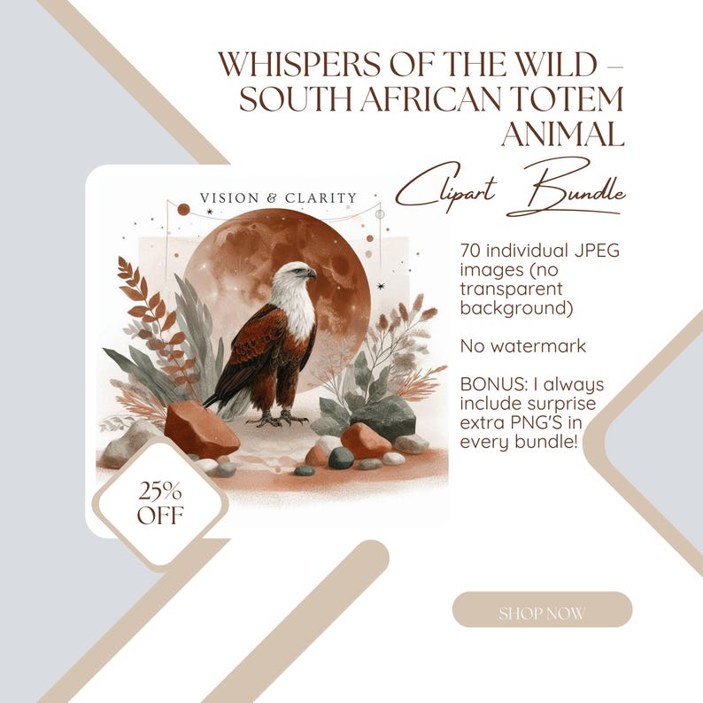 South African Animal Clipart: Boho Safari Nursery Art (70 Jpegs Digital ...