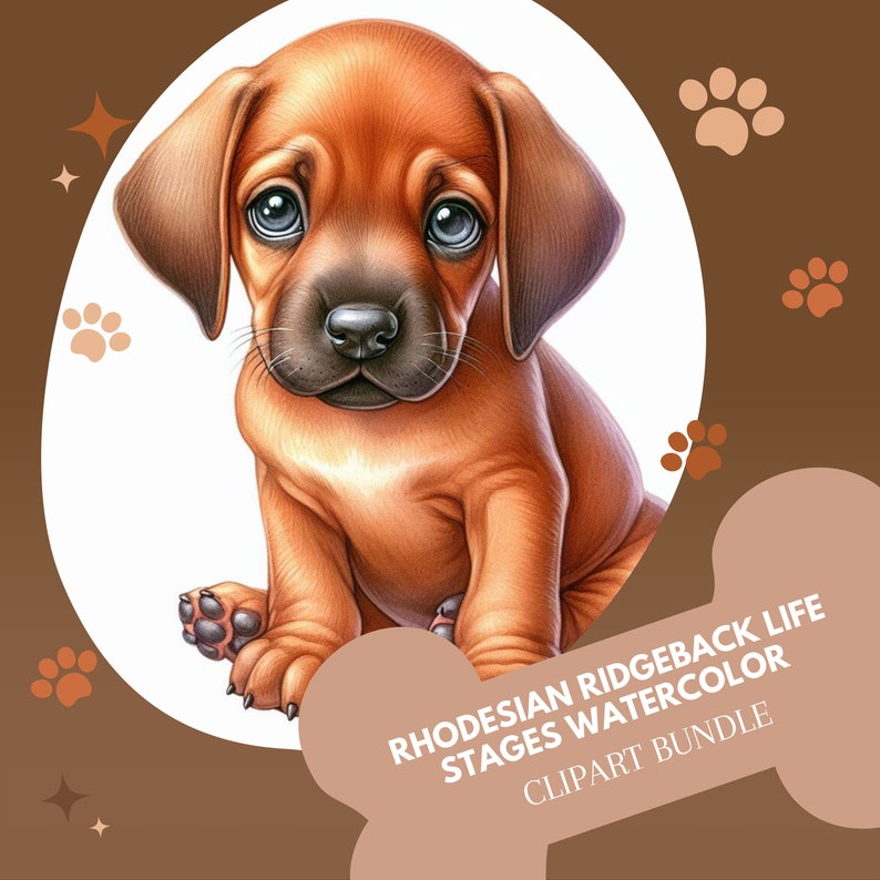 Watercolor Rhodesian Ridgeback Clipart Bundle Life Stages Collection ...