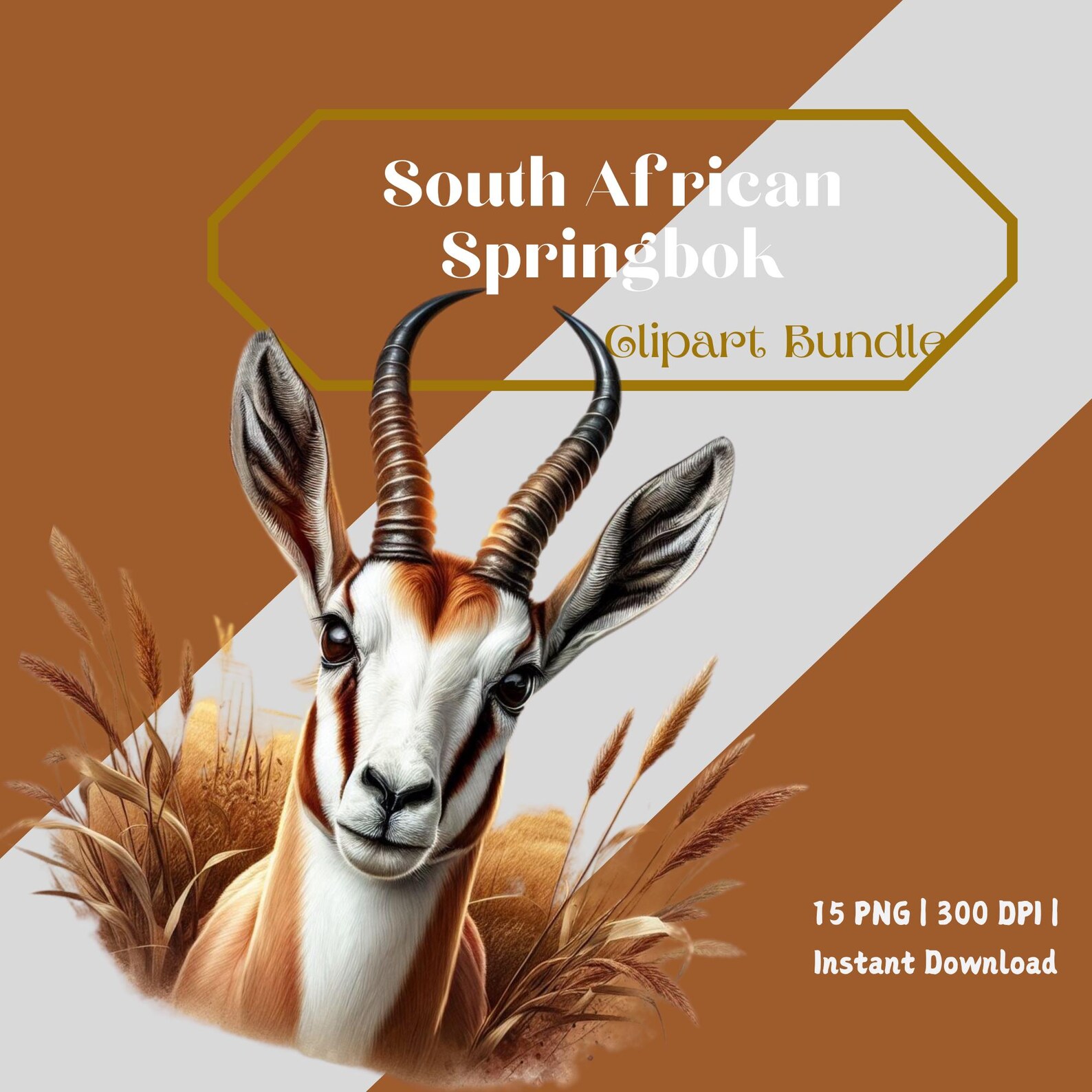 15 Springbok PNG Clipart | Watercolor South African Wildlife | Safari ...