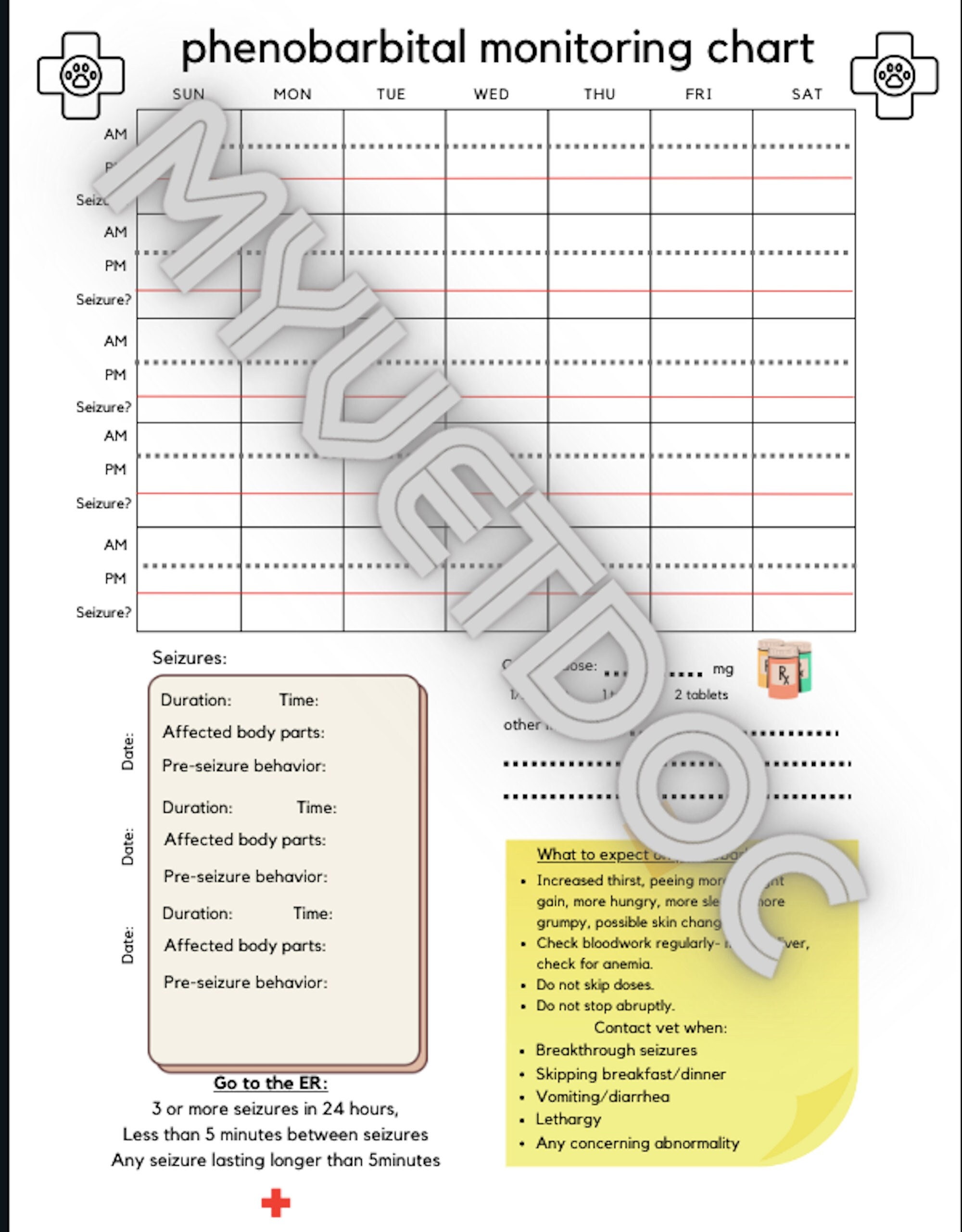 Seizure Chart Template