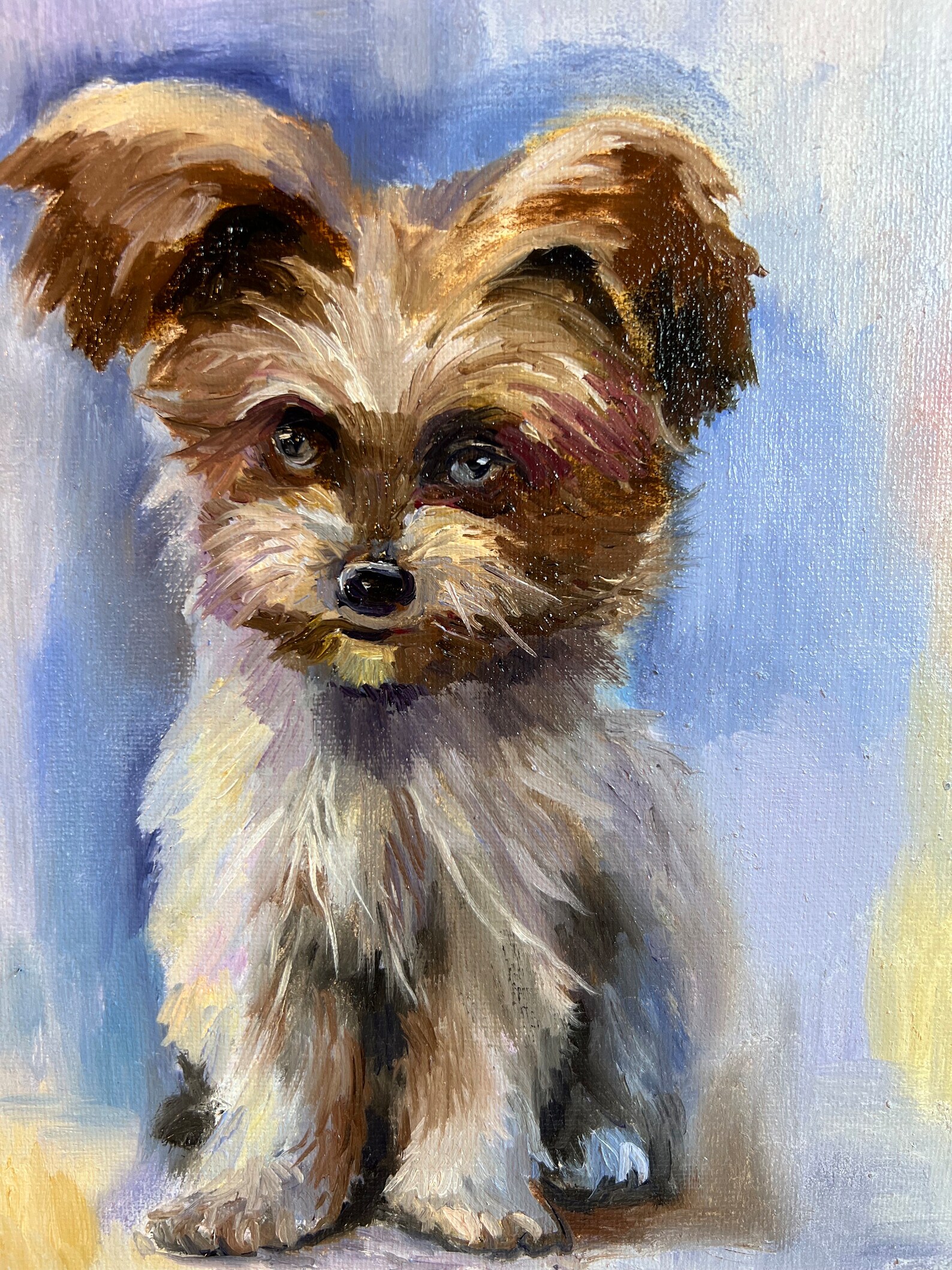 Dog Portrait , 8x10 Inches, Cute Dog Painting , Cute Little Dog ...