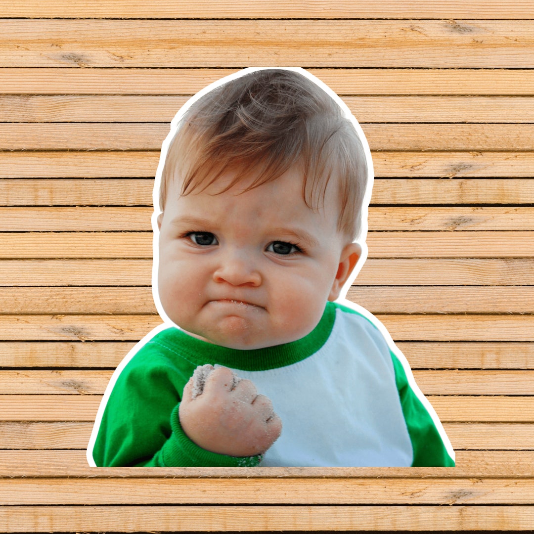 Success Kid Meme Sticker, Kiss Cut Vynil Label, Great for Laptops ...