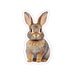 Adorable Realistic Bunny Sticker, Realistic Rabbit Decal, Rustic Rabbit ...