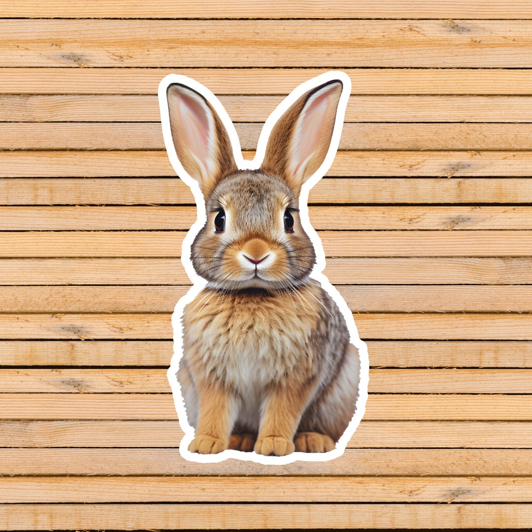 Adorable Realistic Bunny Sticker, Realistic Rabbit Decal, Rustic Rabbit ...