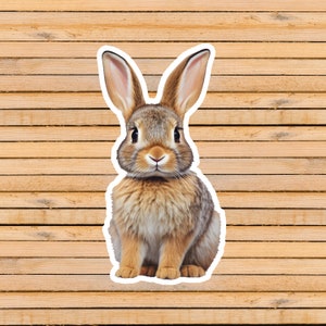 Adorable Realistic Bunny Sticker, Realistic Rabbit Decal, Rustic Rabbit ...
