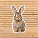 Adorable Realistic Bunny Sticker, Realistic Rabbit Decal, Rustic Rabbit ...